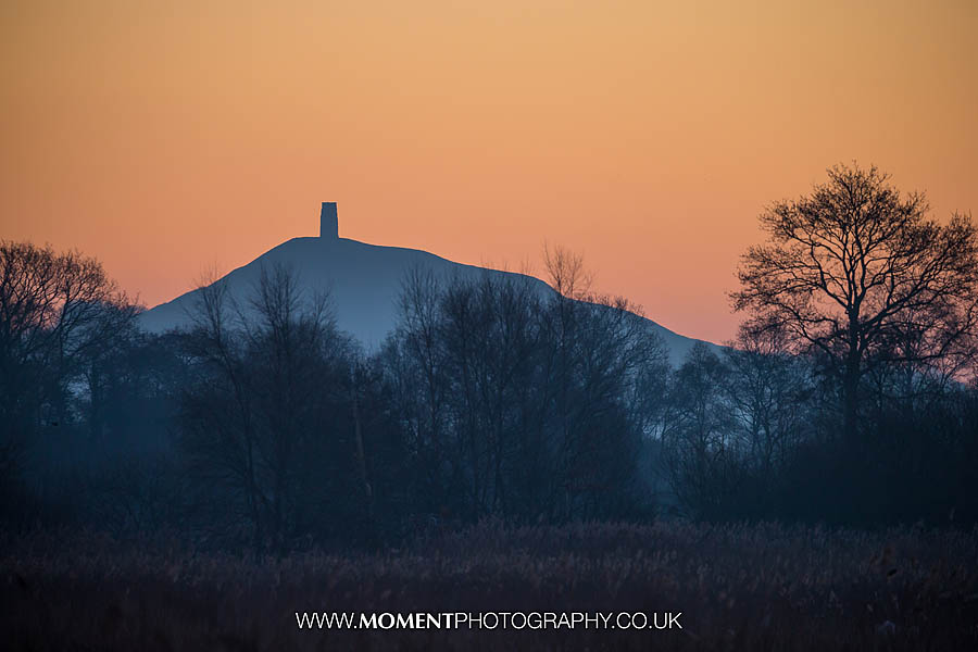 Ham Wall RSPB Bird photography – day 2